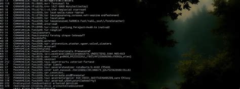 Accessing The Command Line In Linux