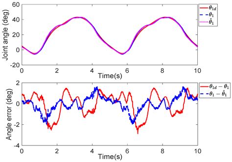 Extended State Observer Based Sliding Mode Control Design Of Two Dof Lower Limb Exoskeleton