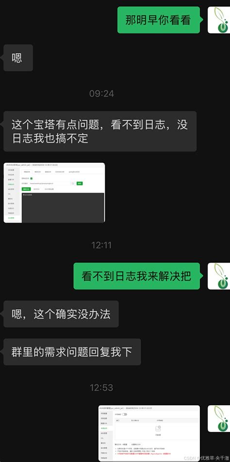 宝塔面板 java项目 spring 无法正常启动 java spring 宝塔 没有显示日志 问题解决方案 spring项目宝塔面板无日志