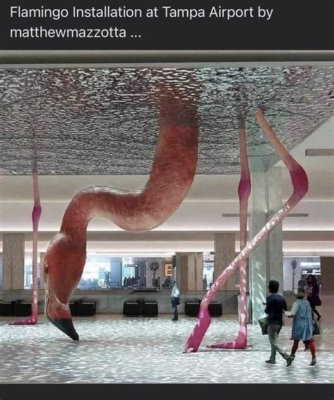 Did Anyone Else See A Sigmoid Colon And Rectum Or Do I Need To Go To Bed R Nursing