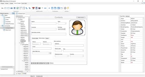 Projects Using Lazarus Databases And Tools Free Pascal Wiki