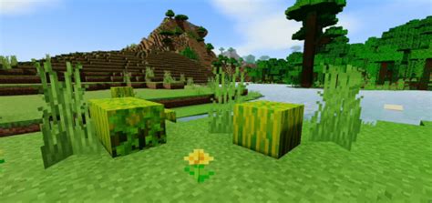 MCPE Sharp Shaders 1 18 1 19 Minecraft Mods