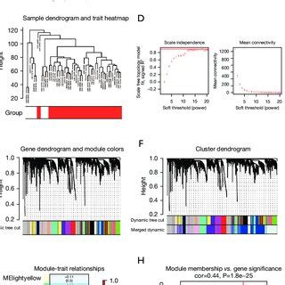 Identification Of DEGs In The GSE Dataset And Construction Of The Download Scientific