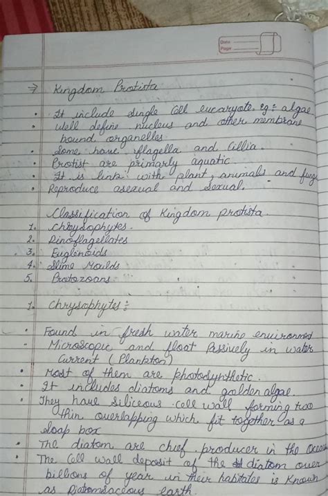 ⇒ Kingdom Protista It Include Dingle Cell Eucaryote Ig Algae Well