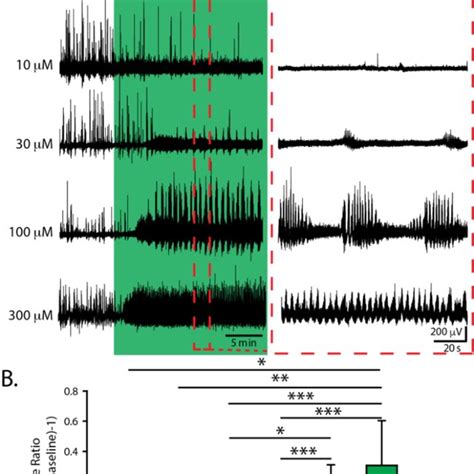 Dopamine Evokes Bidirectional Dose Dependent Modulation Of Lumbar