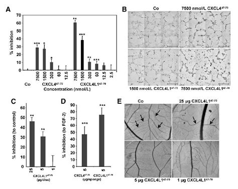 Figure 1 From The Cooh Terminal Peptide Of Platelet Factor 4 Variant Cxcl4l1pf 4var47 70