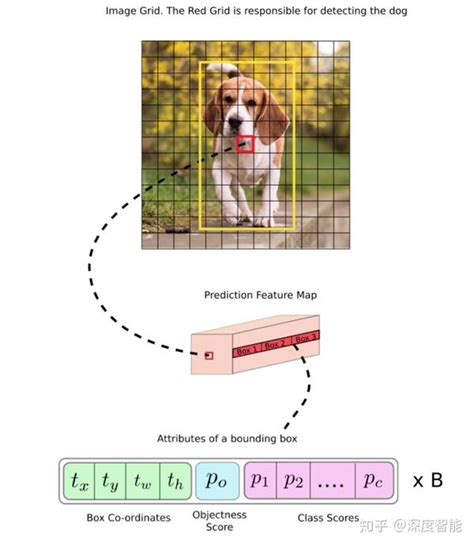 从零开始实现YOLO v Part 知乎