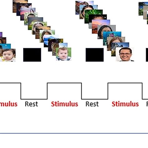 Timeline Demonstrates The Visual Paradigm Displayed During Functional