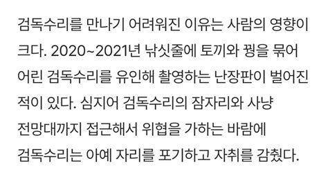 제가 밴드에 가입하고 처음 접했던 게시물은 일부 몰지각한 사진가들 때문에 스트레스에 시달리다 죽음을 맞이한 한국의 새 Band