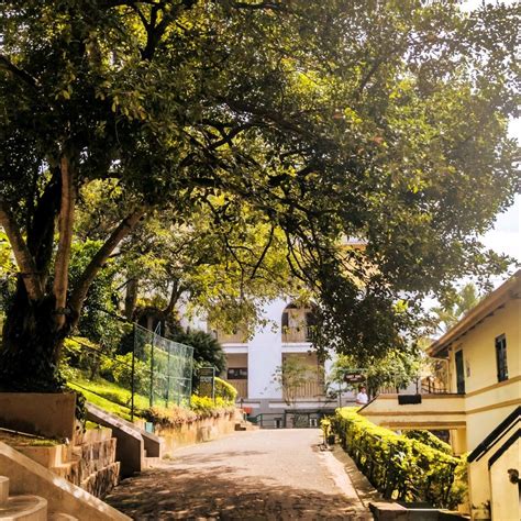 Trinity College Kandy On Linkedin Trinitycollegelk Nature Evening Buildings Kandy Srilanka…