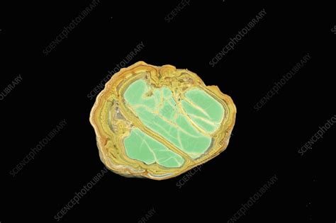 Variscite Stock Image C Science Photo Library Variscite Stock Image C Science Photo Library