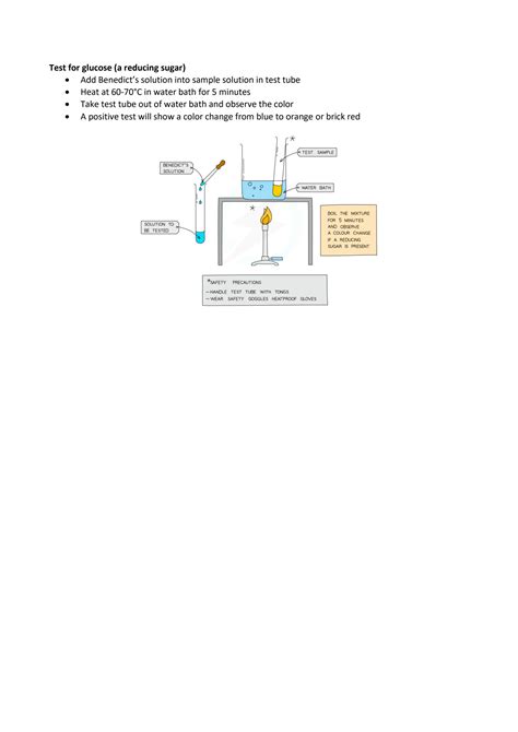 Biology Notes For IGCSE Carbohydrates Fats And OFF