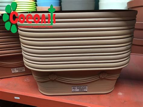 Мандал цэцгийн сав Mandal Tsetsgiin Sav