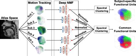Figure 1 From A Deep Joint Sparse Non Negative Matrix Factorization
