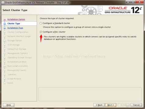 Oracle 12c Rac 集群使用 Gns 实现 Scan51cto博客rac Binap