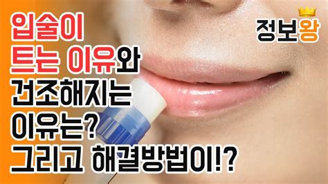 입술이 트는 이유와 건조해지는 이유 해결방법까지 Youtube
