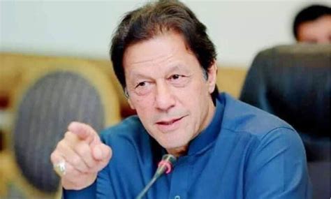 عمران خان کے خطاب پر پاکستانی نژاد امریکی ڈاکٹروں کی تنظیم منقسم