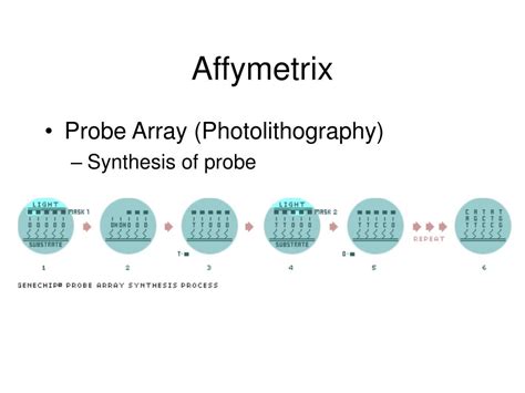 Ppt Microarray Technology And Applications Powerpoint Presentation