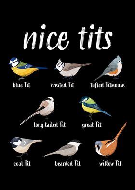 Funny Bird Pun Nice Tits Poster By Qwertydesigns Displate