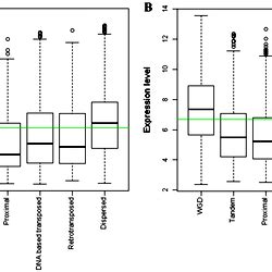 Comparison Of Expression Levels Between Genes Created By Different Duplication Modes