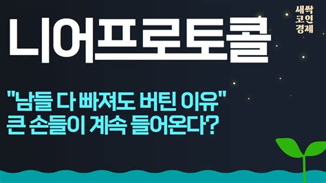 니어프로토콜 코인 남들 다 빠져도 버틴 이유 큰 손들이 계속 들어온다 니어프로토콜전망 니어프로토콜호재 니어프로