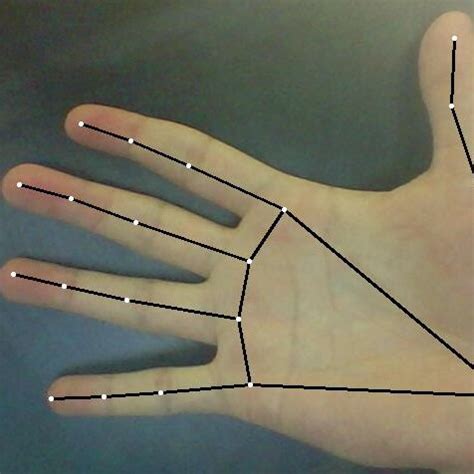 Hand Landmarks Of MediaPipe Hands Download Scientific Diagram
