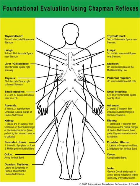 Nutritional Exam Chapman Reflex Points Ifnh