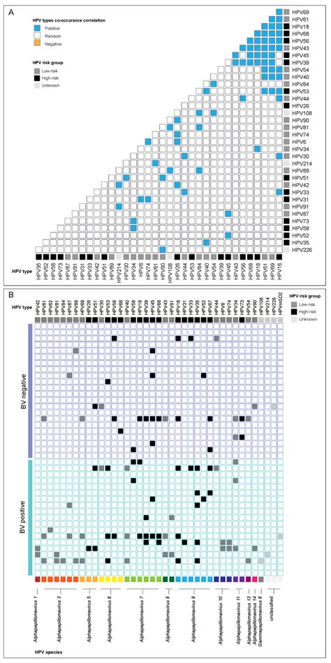Occurrence Of Hpv Genotypes A Heat Map Showing The Positive Hpv Download Scientific Diagram