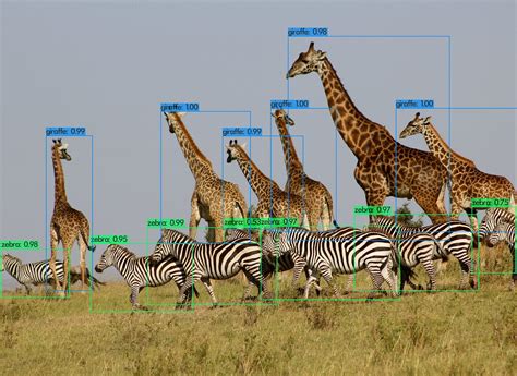 yolo v3 for object detection a gentle approach by pierluigidibari