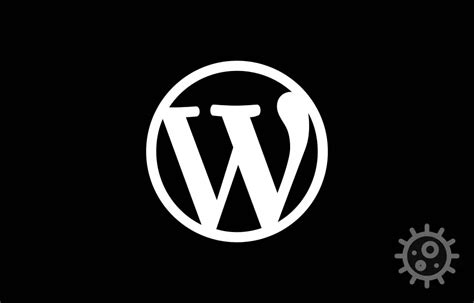 10 Wordpress Vulnerabilities Wp Thinker