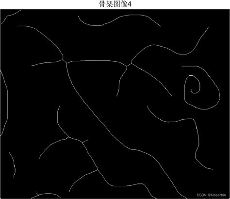 Matlab提取二值图像骨架、骨骼matlab Bwmorpthin Csdn博客