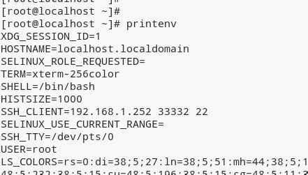 How To Set Environment Variables In Linux