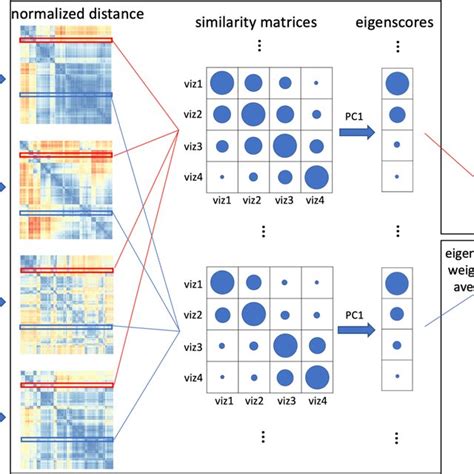 a graphical illustration of the proposed method the algorithm takes as