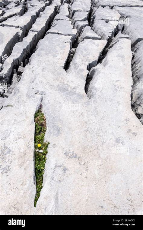 Calcareous Labyrinth Of Pico De Aspe Stock Photo Alamy