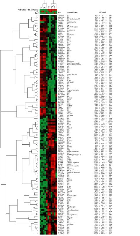 Hierarchical Cluster Analysis Of Self Organizing Maps Using The