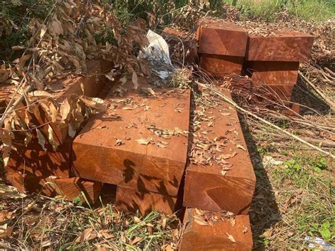 សមត្ថកិច្ចជំនាញចុះបង្ក្រាបទីតាំងរោងសិប្បកម្មកែច្នៃផលអនុផលព្រៃឈើល្មើសច្បាប់មួយកន្លែងស្ថិតក្នុងភូម