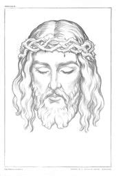 How To Draw Betty Boop Step By Step