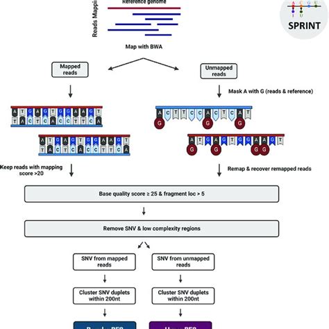 Main Features Of Bioinformatic Tools For Rna Editing Detection