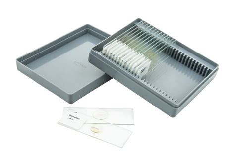 microscope slide set algae survey slide set no vii set of 15 slides
