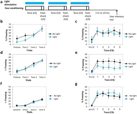 Affecting Long Term Fear Memory Formation Through Optical Control Of Rac1 Gtpase And Pak