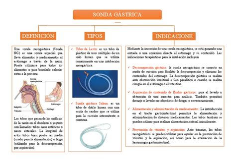 Sonda Gástrica Nasogástrica Pdf Tracto Gastrointestinal Sistema Digestivo