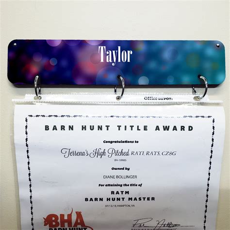 Taylor Certificate Display Squeaky Egg Shop