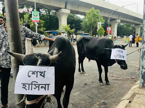 Md Fardin Md Fardin Added A New Photo