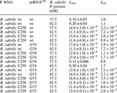Cleavage Activity Of B Subtilis Wt And Mutant Rnase P Holoenzymes