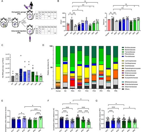 Comparative Colonisation Ability Of Human Faecal Microbiome
