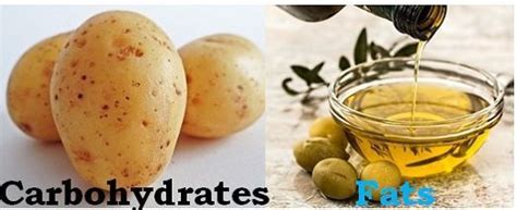 Difference Between Carbohydrates And Fats With Comparison Chart Bio Differences