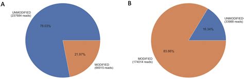 Gene Editing And Small Molecule Inhibitors Of The Rna Binding Protein