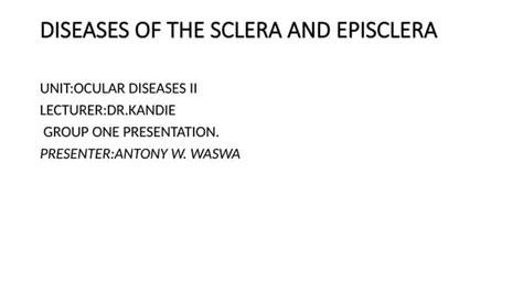 Sclera And Episclera Constitutions In Management Of Eye Pptx