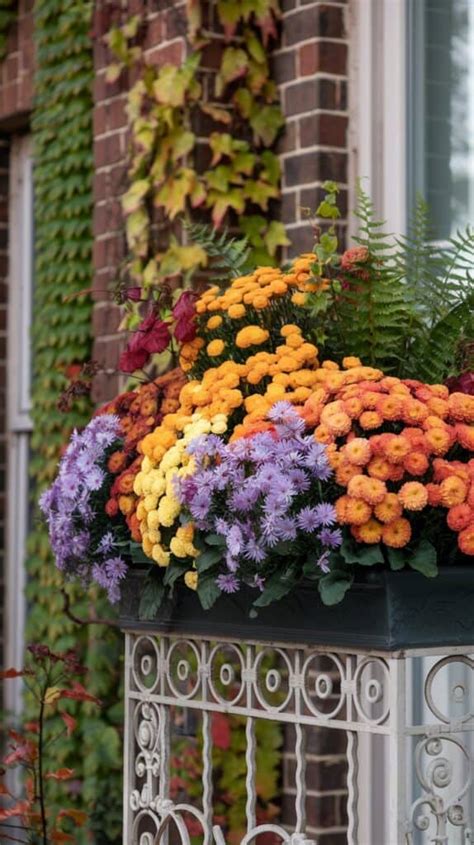 Fall Window Boxes For Your Home Aesthetic