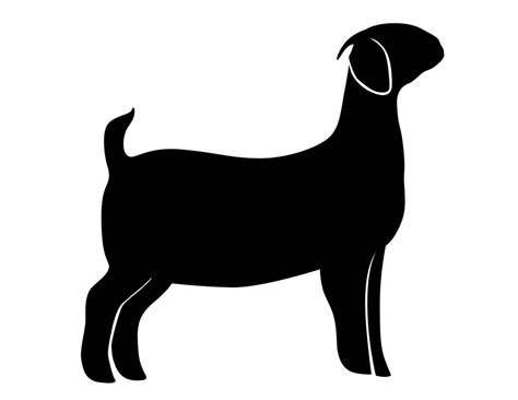 Boer Goat Silhouette Svg Eps Clipart Youth Livestock Show Png